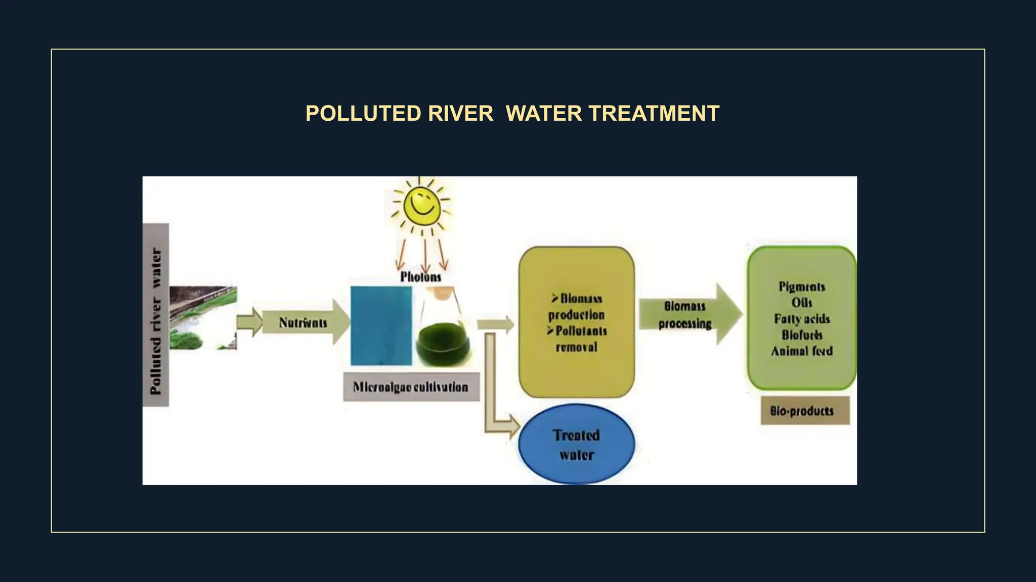 phycoremediation-3.pptx