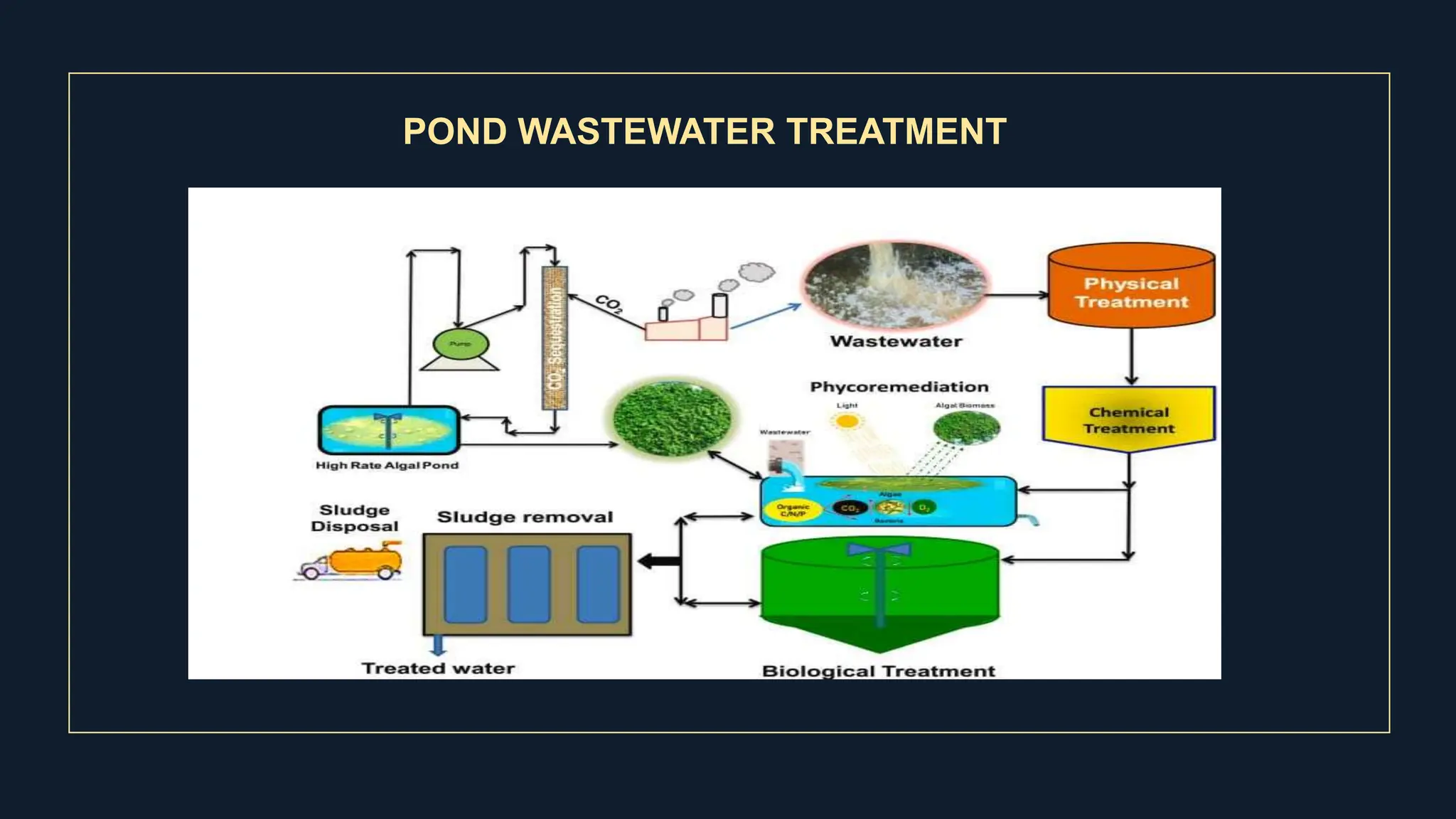 phycoremediation-3.pptx