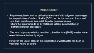 phycoremediation-3.pptx