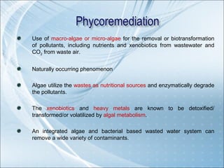 Phycoremediation – a clean technology for water pollution abatement | PPT