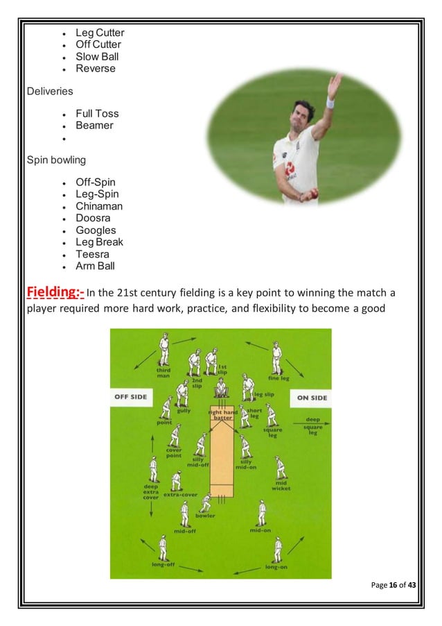 Physical Education project class 12 | DOCX