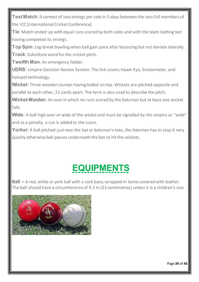 Physical Education project class 12 | DOCX