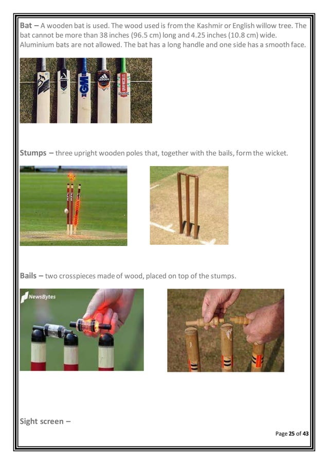 Physical Education project class 12 | DOCX