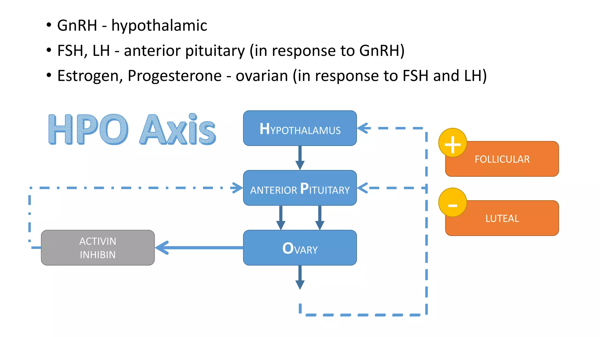 Female Endocrine Physiology | PPT