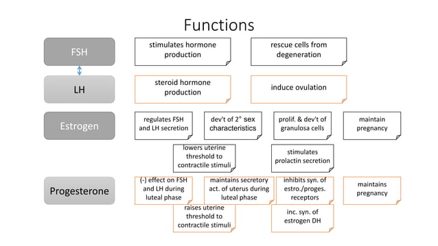 Female Endocrine Physiology | PPT