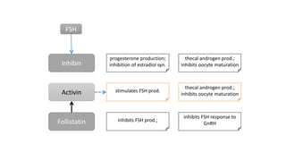 Female Endocrine Physiology | PPT
