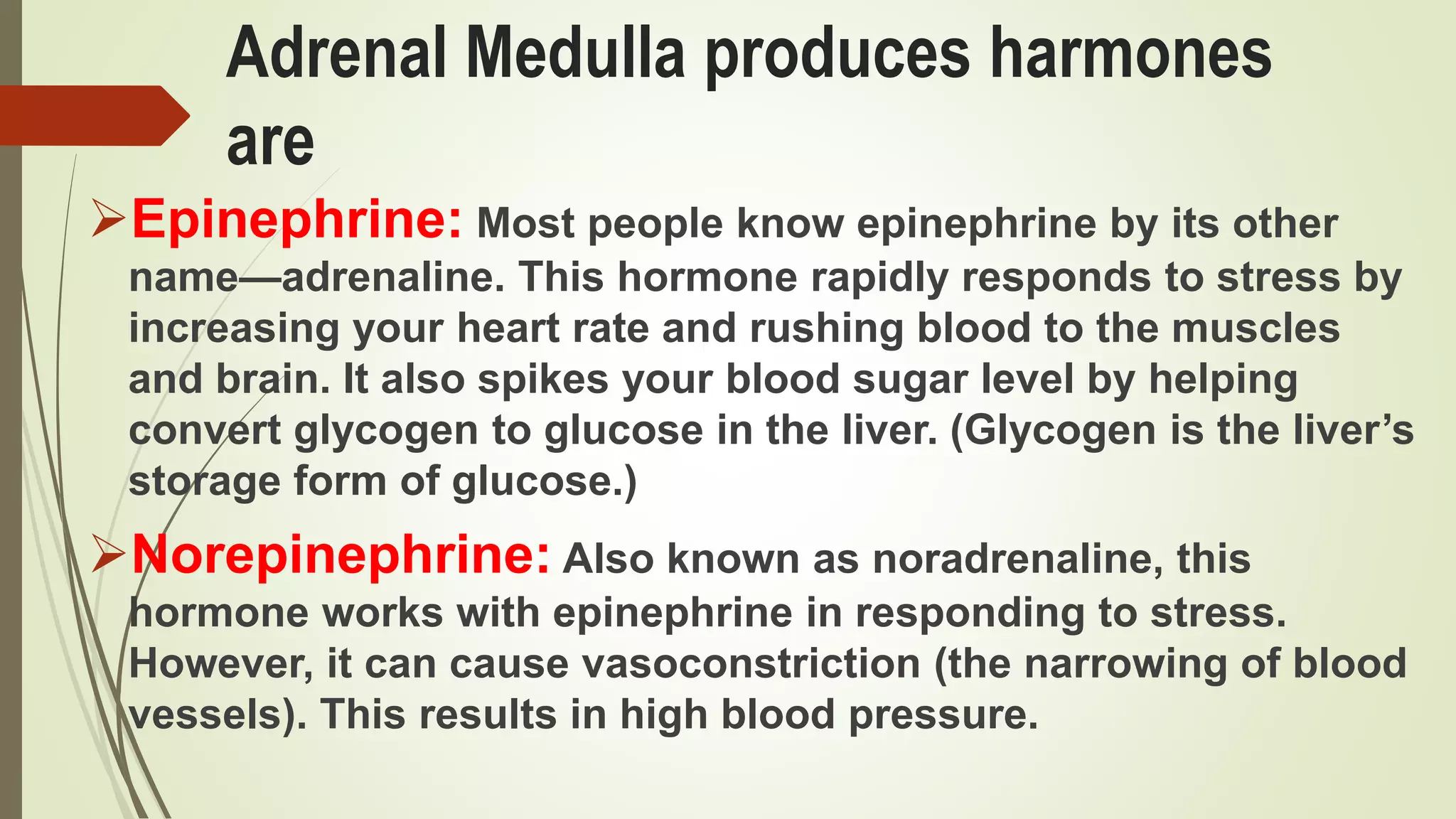 Adrenal glands and its secretions | PPTX