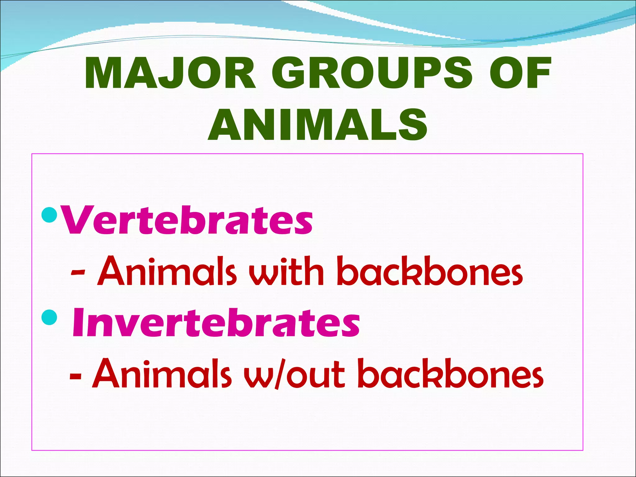 Phyla of kingdom animalia | PPT