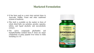 PHYLLANTHUS NIRURI Chemistry of natural product.pptx