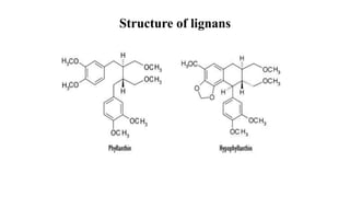 PHYLLANTHUS NIRURI Chemistry of natural product.pptx