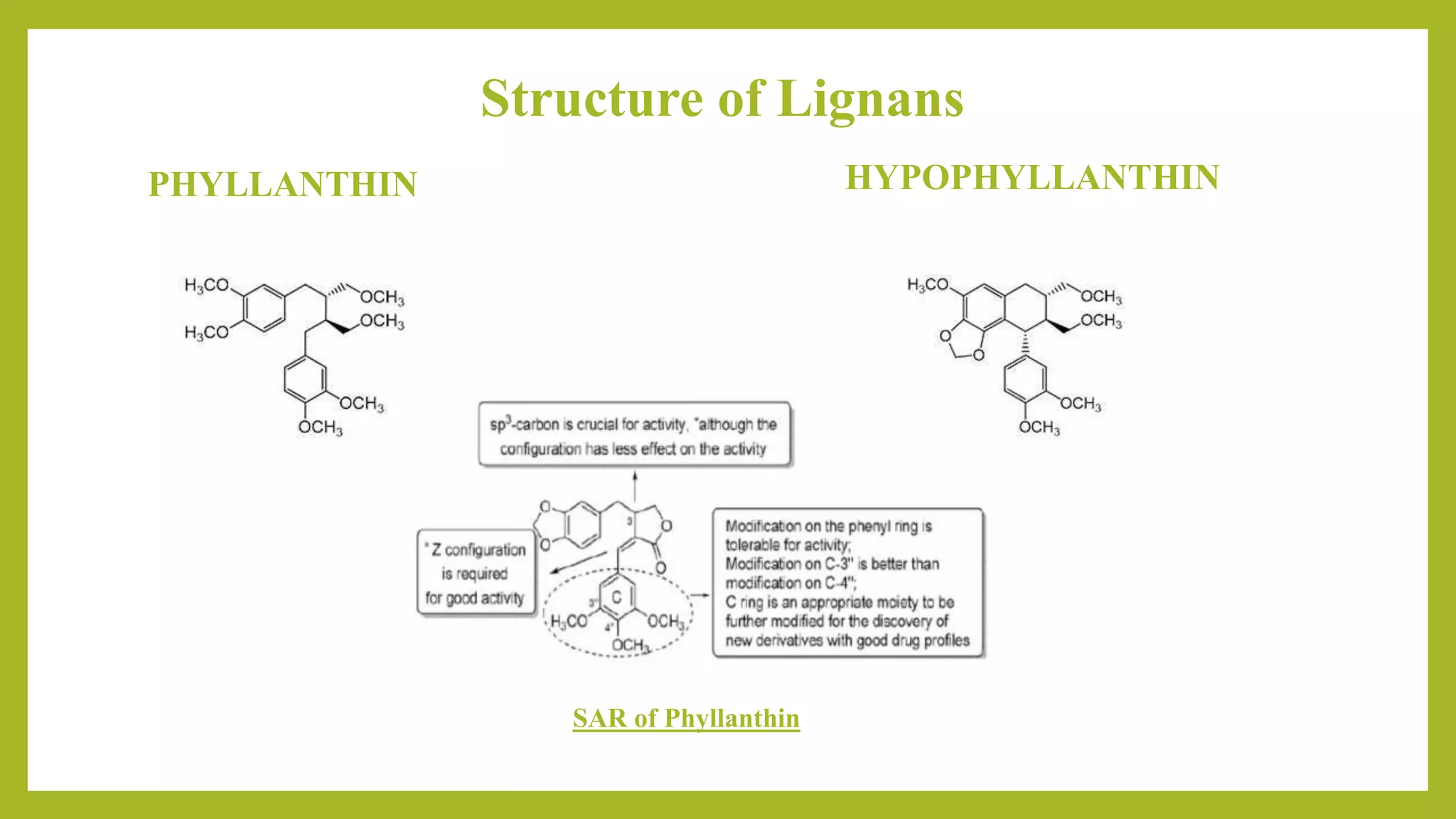 Phyllanthus niruri in liver dysfunction | PPTX