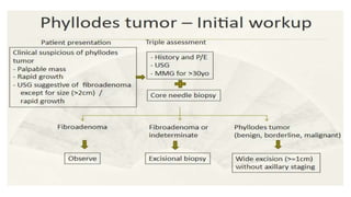 Phyllodes Tumor Growth Rate