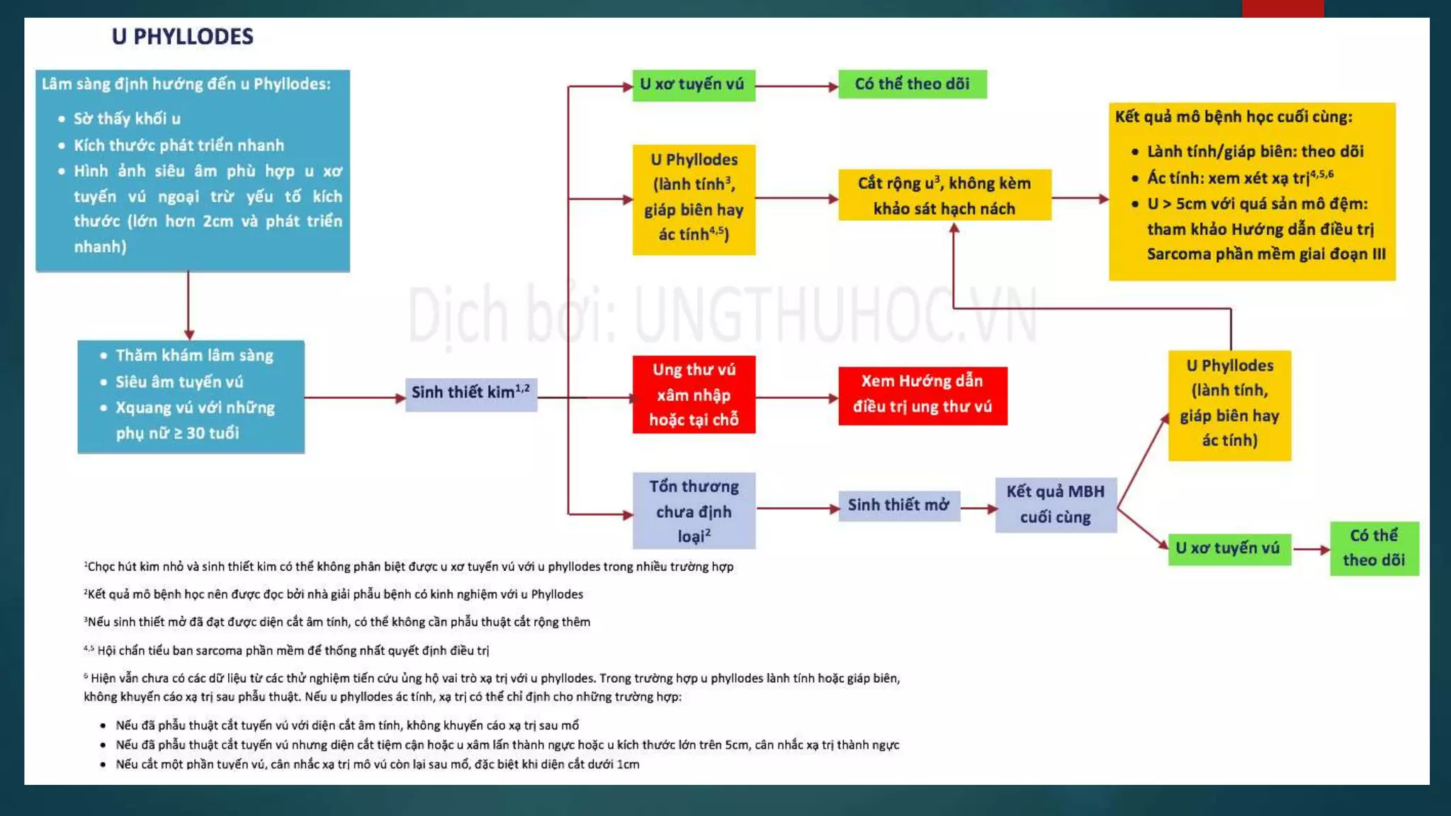 PHYLLODES TUMOR tumor.pptx