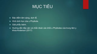 PHYLLODES TUMOR tumor.pptx