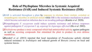 Role of Phylloplane Bacteria in plant disease management | PPTX