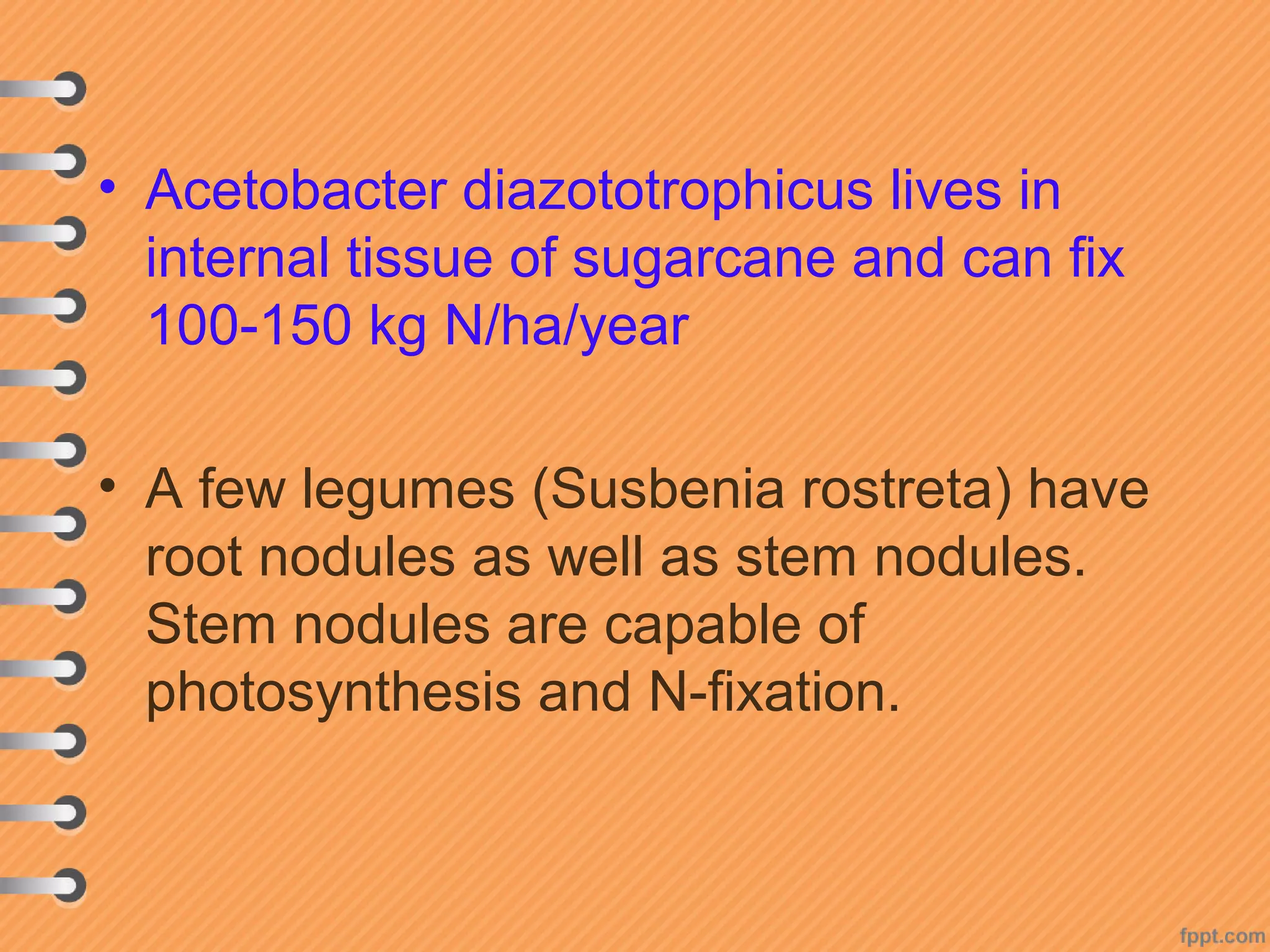 Phyllosheric n fixation and factors affecting nodulation | PPT
