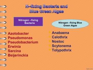 Phyllosheric n fixation and factors affecting nodulation | PPT