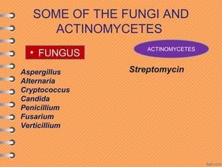 Phyllosheric n fixation and factors affecting nodulation | PPT