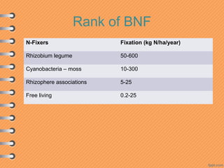 Phyllosheric n fixation and factors affecting nodulation | PPT