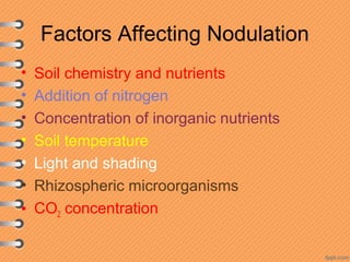 Phyllosheric n fixation and factors affecting nodulation | PPT