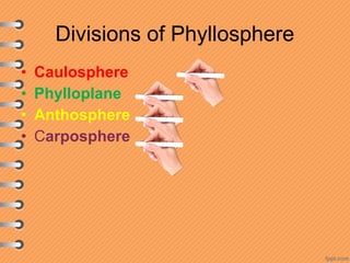 Phyllosheric n fixation and factors affecting nodulation | PPT
