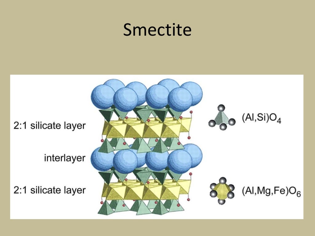 Phyllosilicate clays