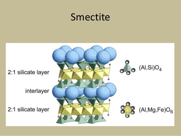 Phyllosilicate clays