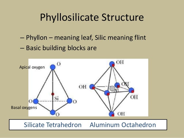 Phyllosilicate clays