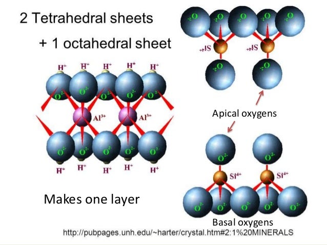 Phyllosilicate Clays