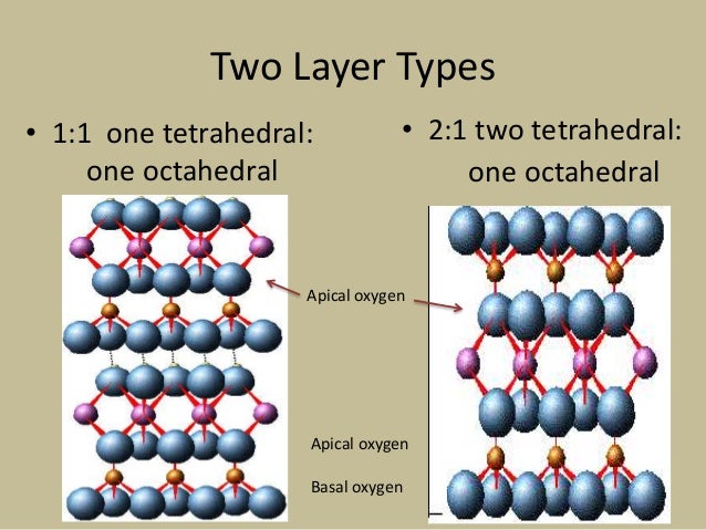 Phyllosilicate clays