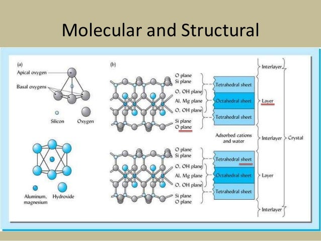 Phyllosilicate clays