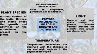 phyllosphere microorganisms powerpoint ppt | PPTX