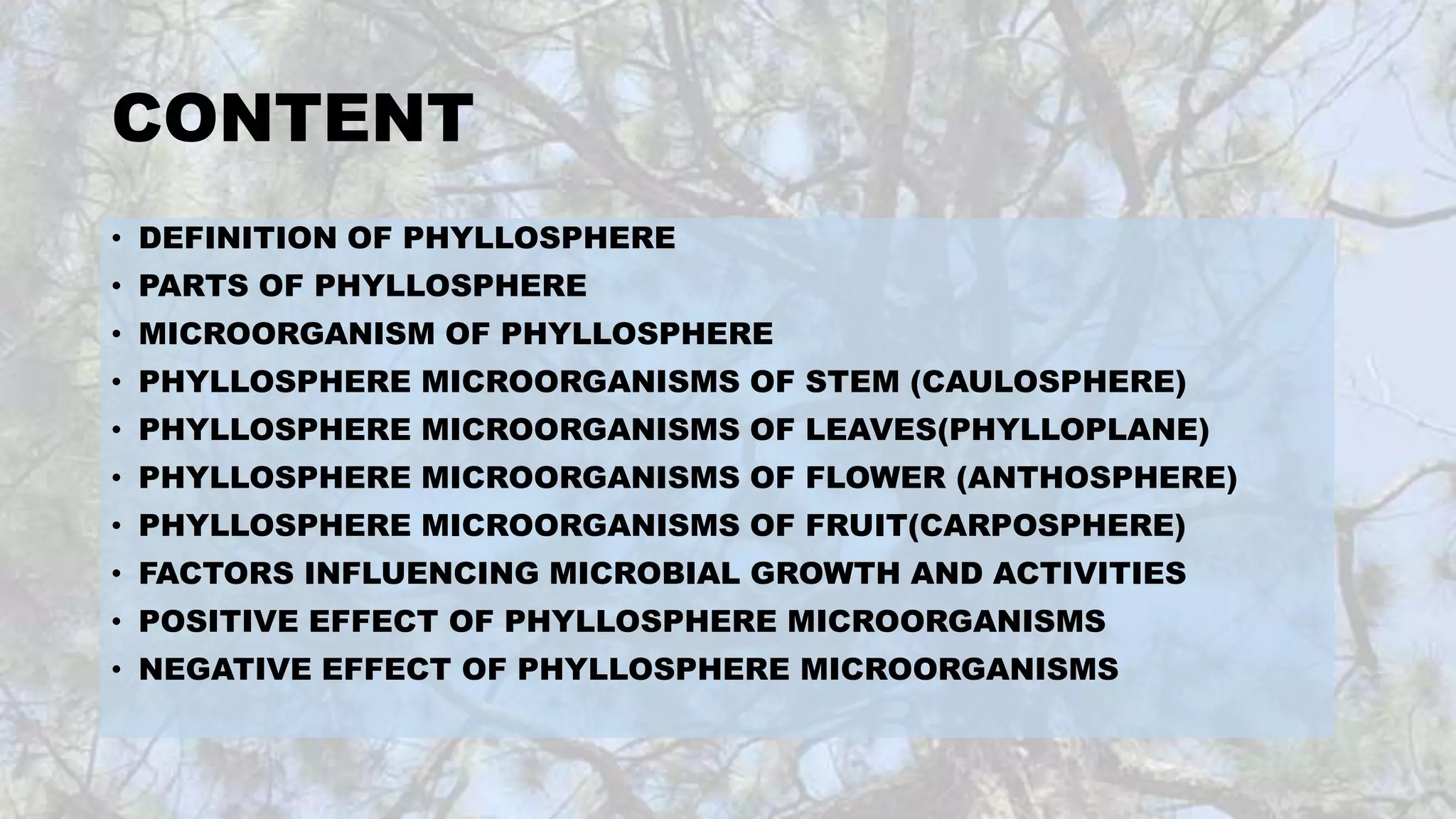 PHYLLOSPHERE MICROORGANISMS BY PRANZLY.ppt