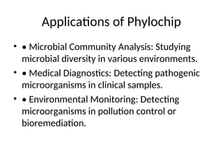 Phylochip_manojit. .ppt