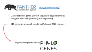 PhyloGenes Webinar Spring 2020 | PPT
