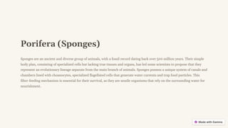 Phylogenetic-Relationship-Among-Porifera-Placozoa-and-Mesozoans.pdf