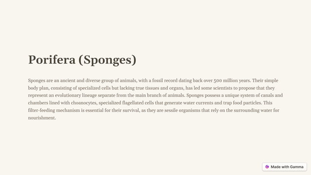 Phylogenetic-Relationship-Among-Porifera-Placozoa-and-Mesozoans.pdf