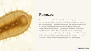 Phylogenetic-Relationship-Among-Porifera-Placozoa-and-Mesozoans.pdf