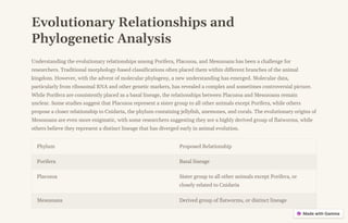 Phylogenetic-Relationship-Among-Porifera-Placozoa-and-Mesozoans.pdf