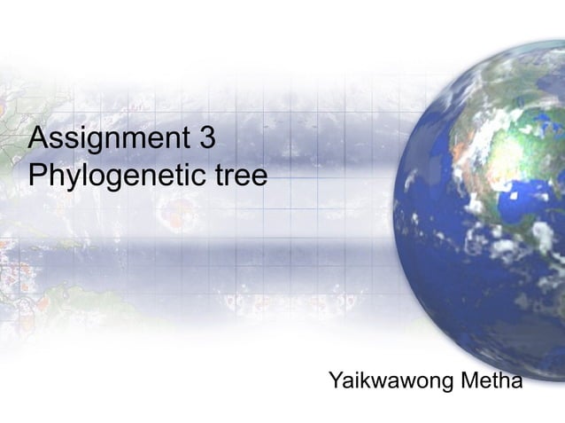 Phylogenetic tree | PPT