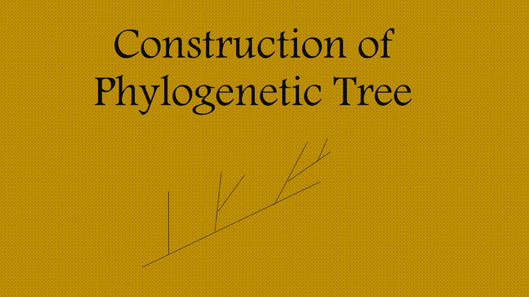 Phylogenetic tree | PPTX