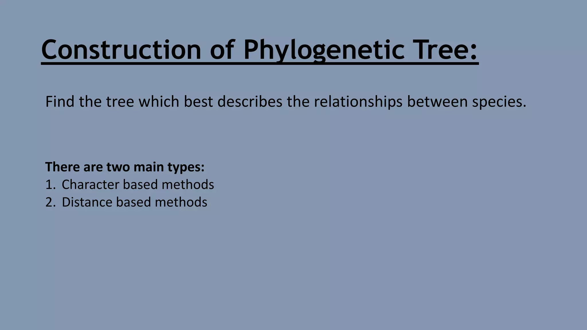 Phylogenetic tree | PPTX