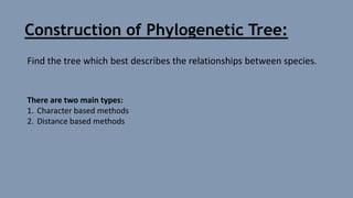 Phylogenetic tree | PPTX