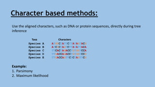 Phylogenetic tree | PPTX