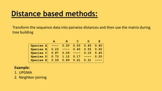 Phylogenetic tree | PPTX