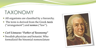 PHYLOGENETIC-TREE_01242023.pdf