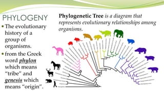 PHYLOGENETIC-TREE_01242023.pdf