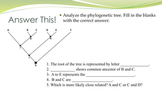 PHYLOGENETIC-TREE_01242023.pdf