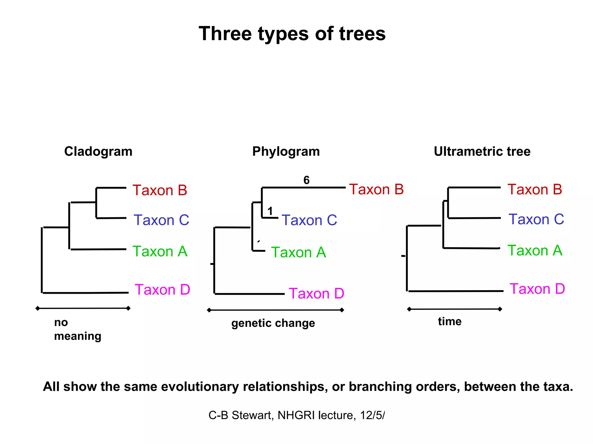 Phylogenetic analysis | PPT