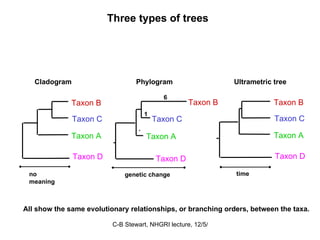 Phylogenetic analysis | PPT